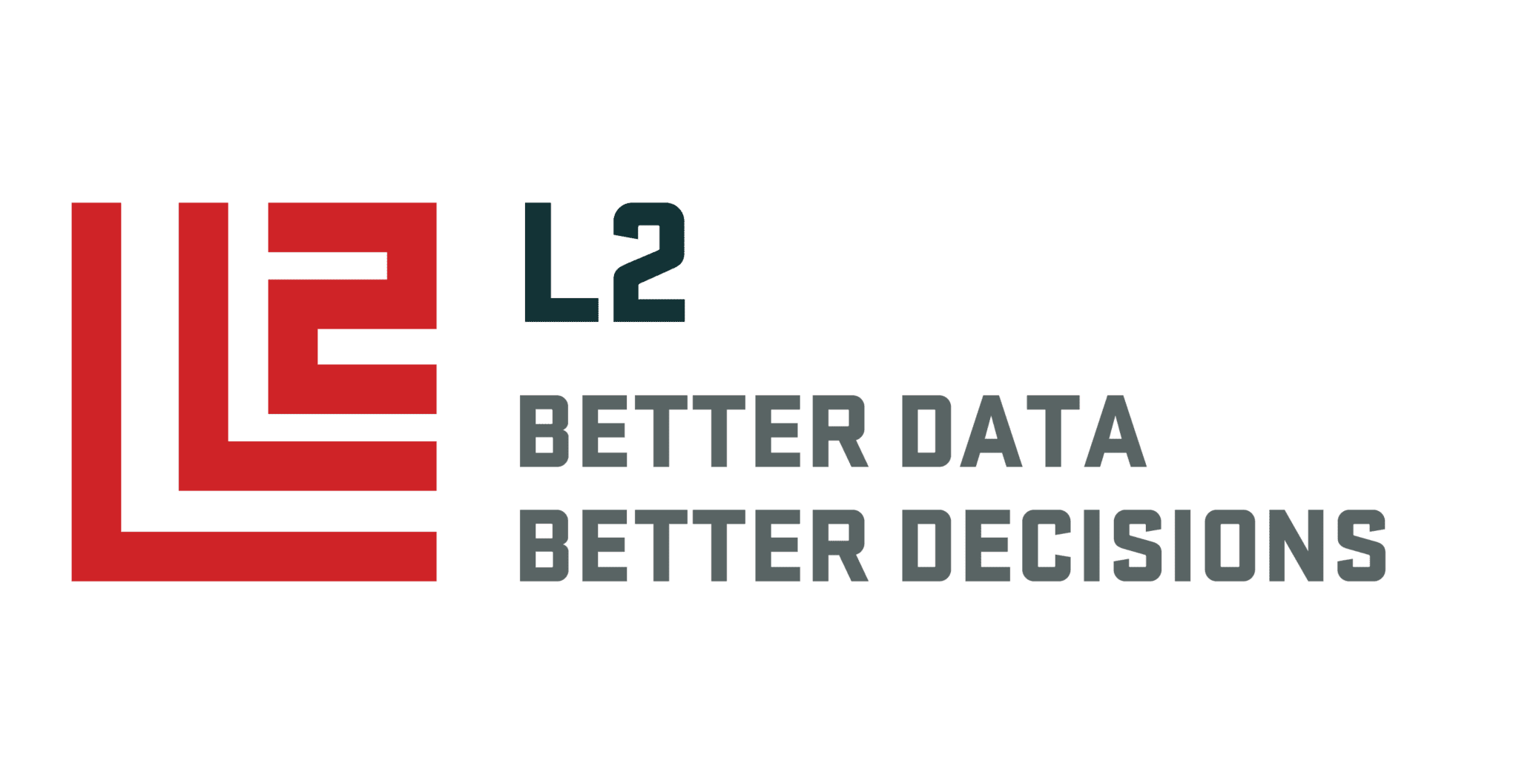 L2 - Campaigns & Elections